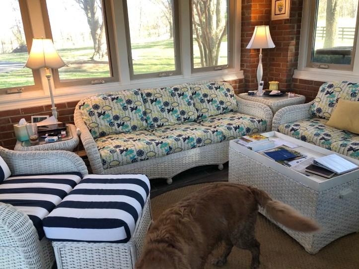 Part 3: Cushion Style Options
